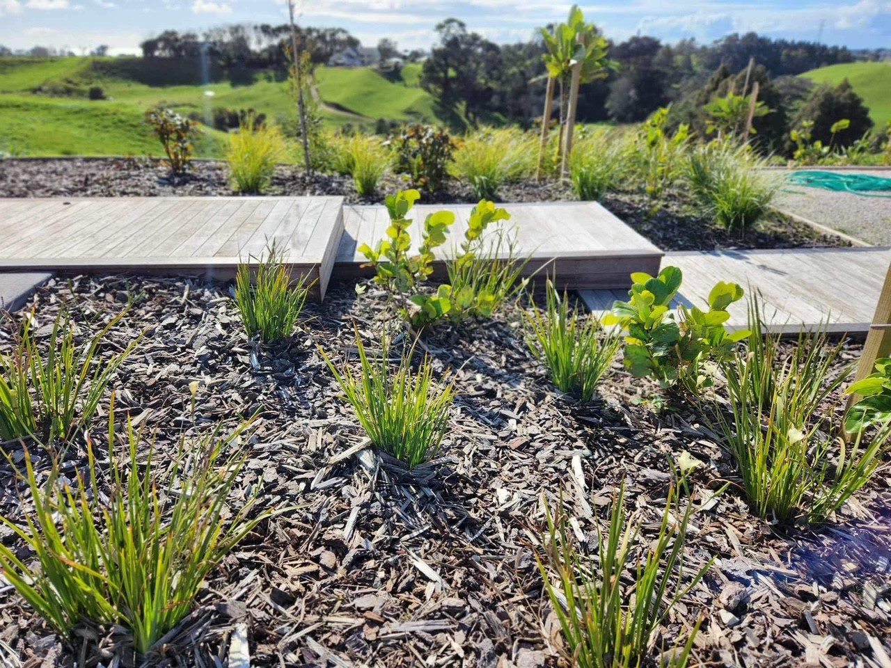 Bark Mulch - Locally Sourced & Produced | Jones Group